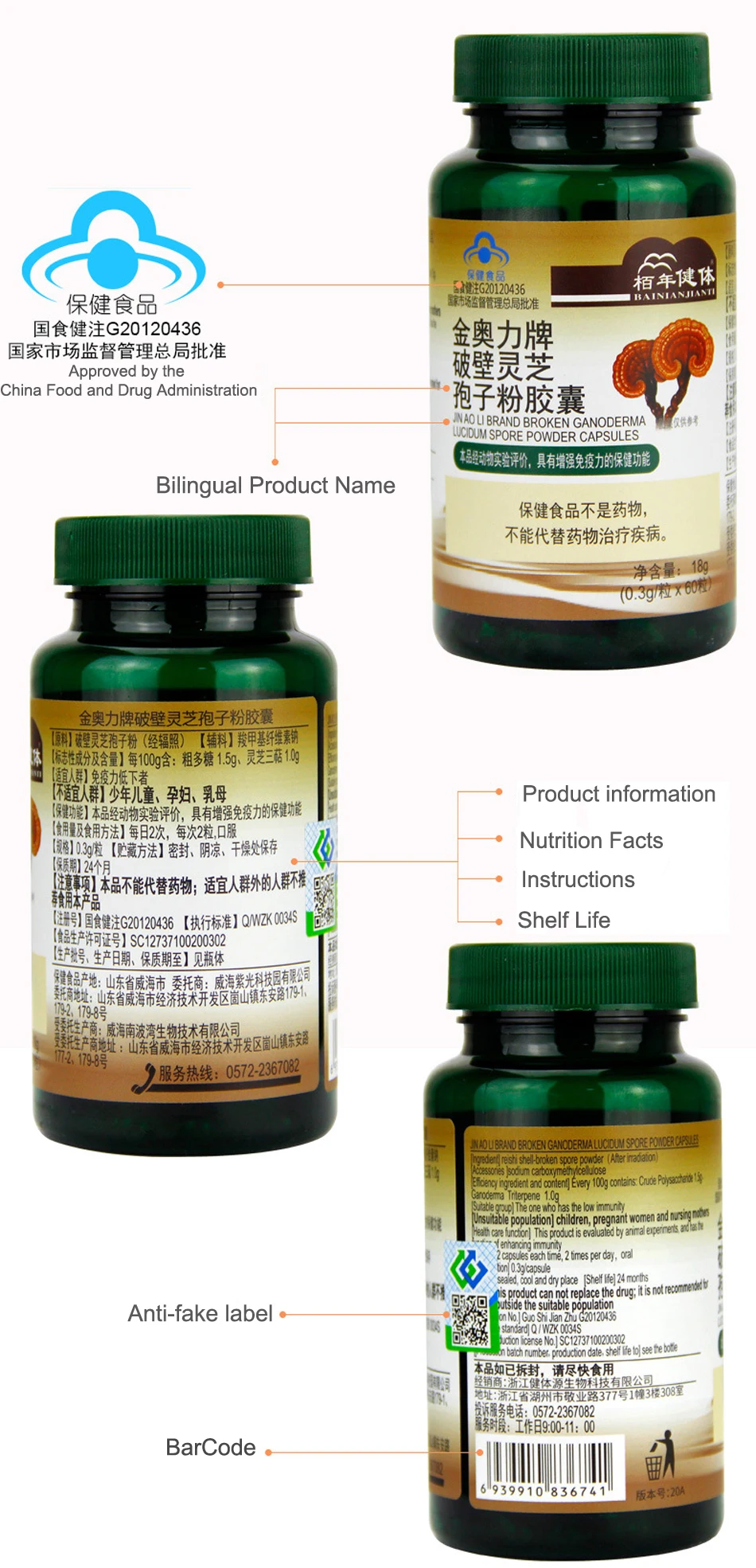 Reishi Ganoderma Lucidum Mushroom and Cordyceps Militaris Sinensis ...