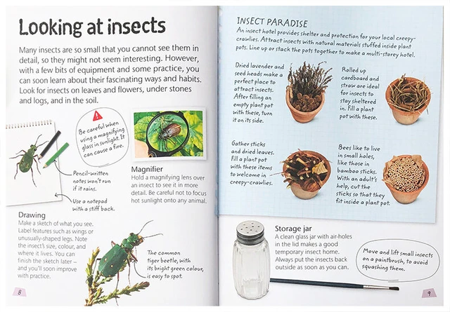 Insects And Spiders Book