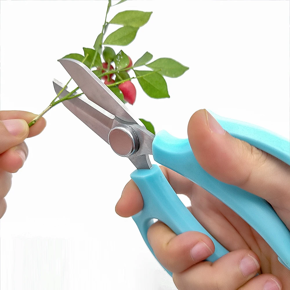 Garden-Pruner-Stainless-Steel-Tree-Pruning-Tool-Garden-Scissors-Fruit ...