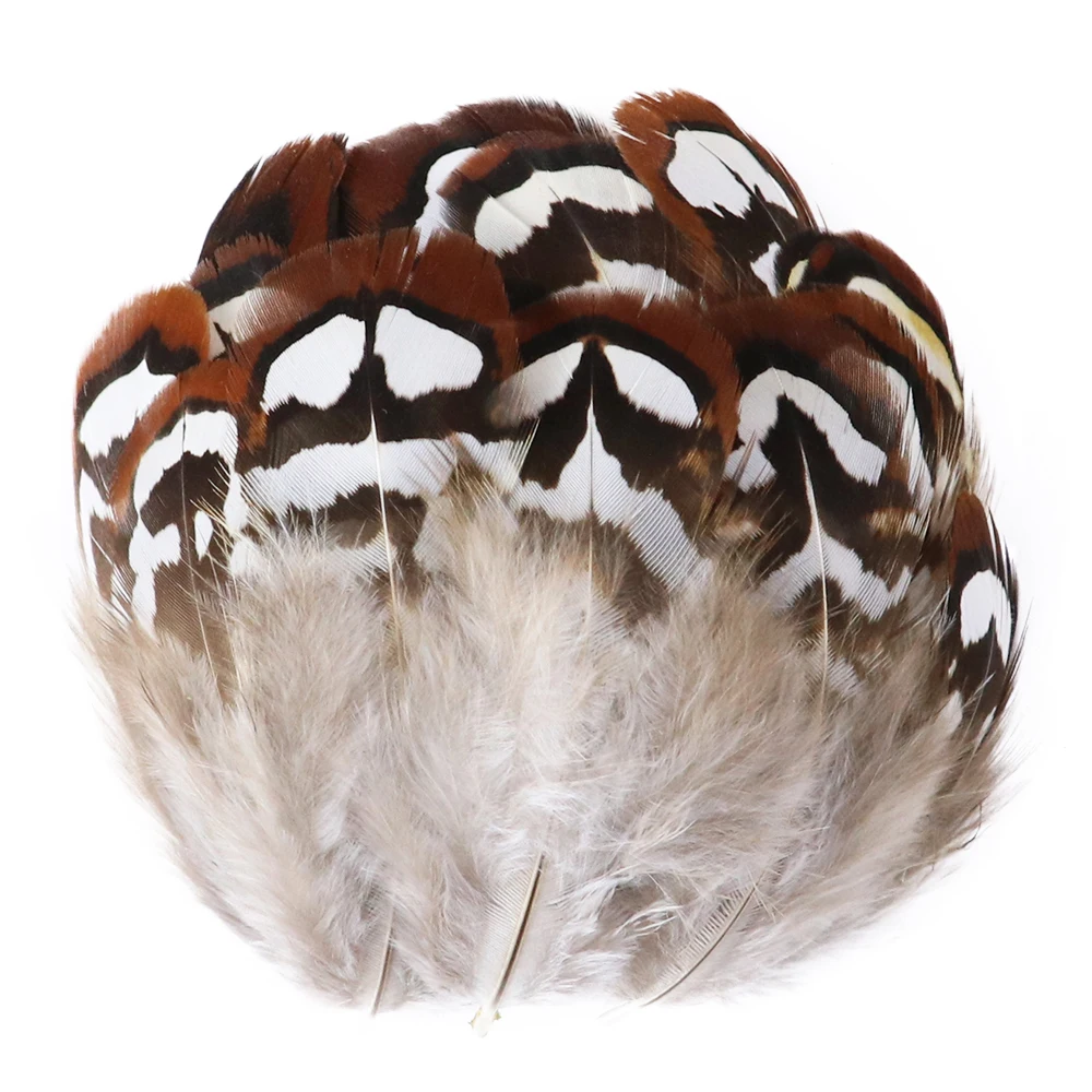 gemischte Federn 24Stück – Natürlichee Pfauen Fasanen Federn für ...