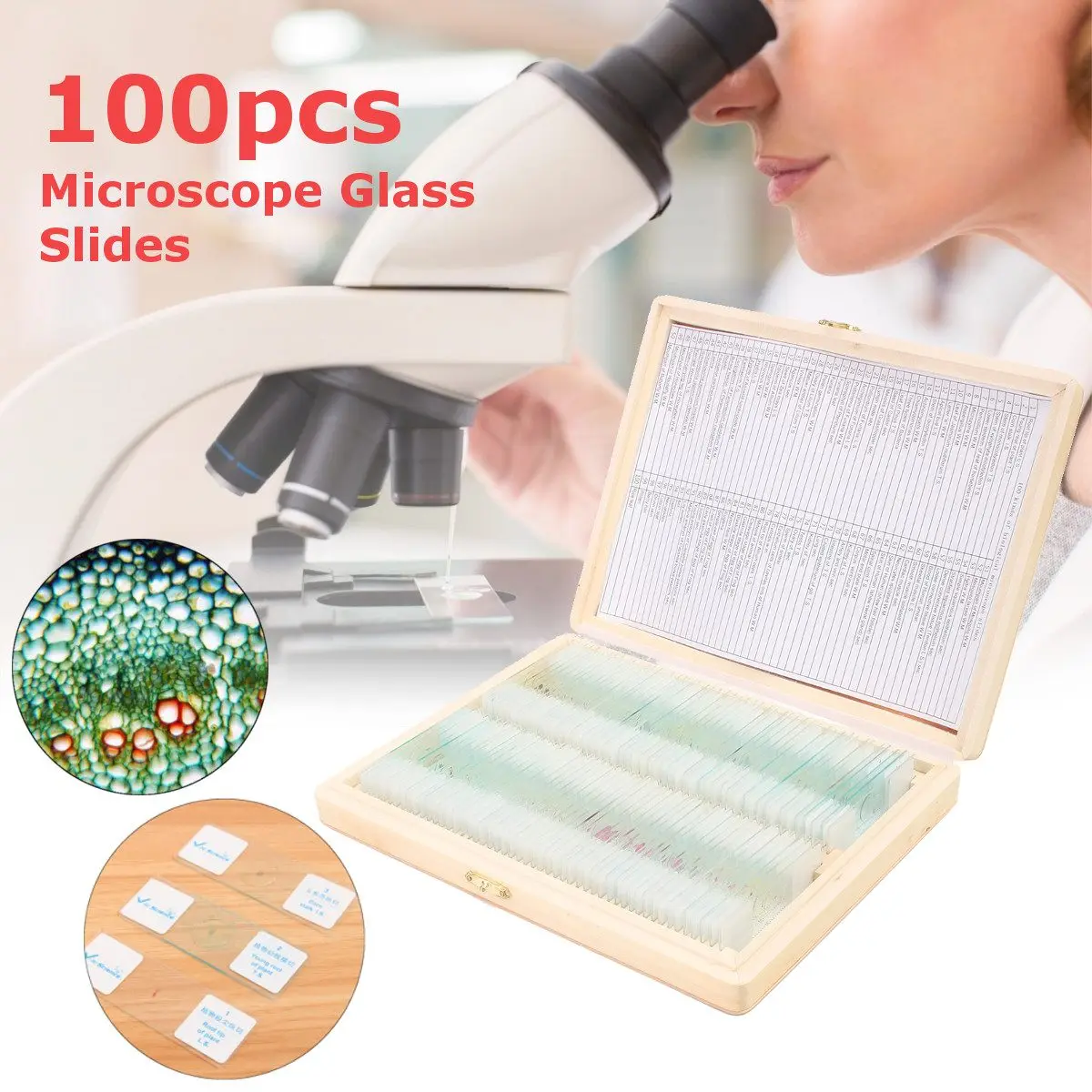 Microscope Glass Slides Sample Glass Prepared Basic Science Biological ...