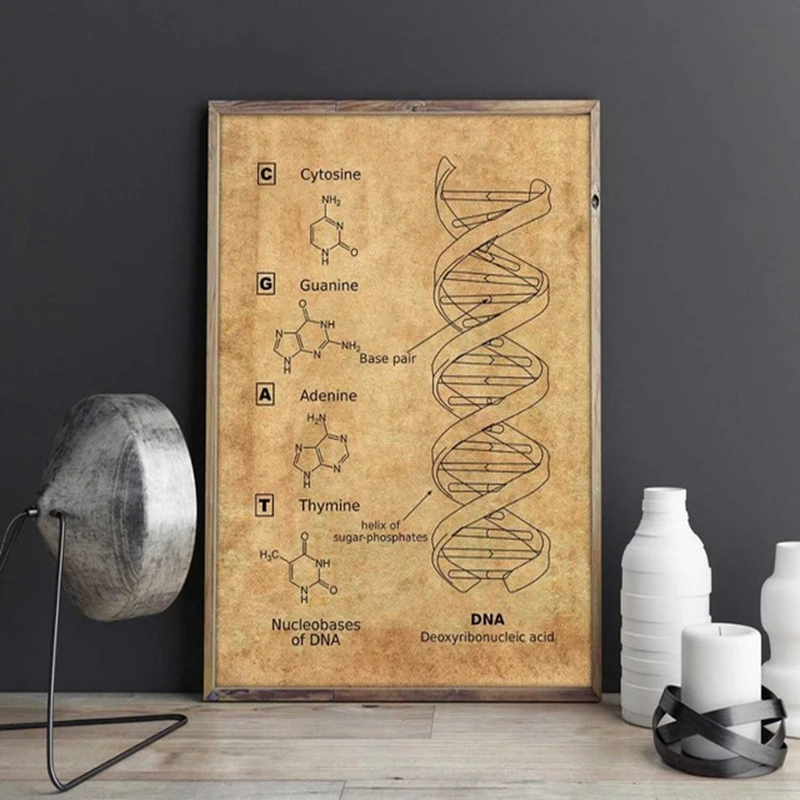 DNA patent, wall art, Genetics, posters,Biology wall decor,vintage ...