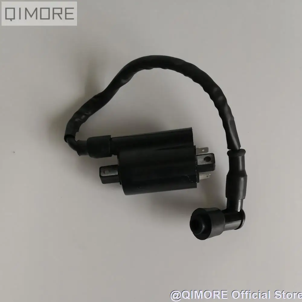 Ignition Coil for Virago XV125 XV250 V Star Route 66 YP250 VOG KEEWAY ...