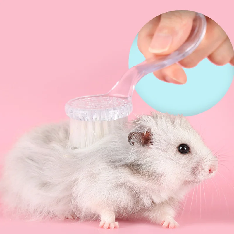 Golden Hamster Chinchilla Soft Brush Grooming Comb Small Pet ...