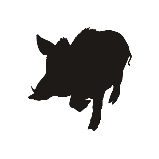 Wild Boar Hunting Guns
