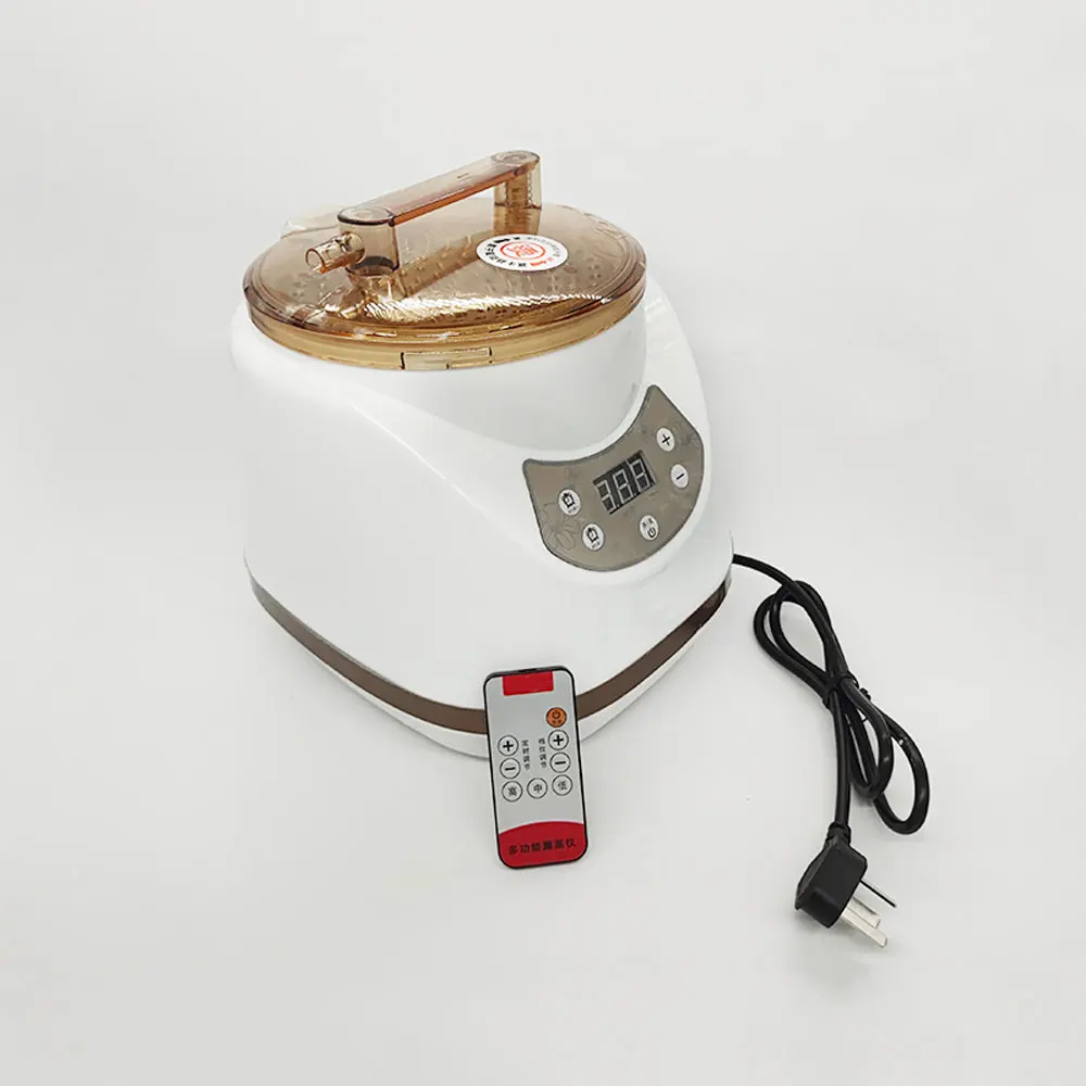 L2-5L-Fumigation-Instrument-Sauna-Steamer-Multi-function-Health-Care ...