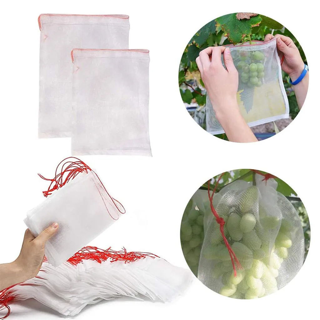 50PCS Fruit Vegetable Insert Protection Grow Bag Anti Bird Plant Bag ...