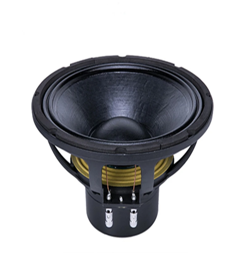 PA-028-Professional-Audio-12-Inch-Middle-bass-Woofer-Speaker-Unit-100mm ...