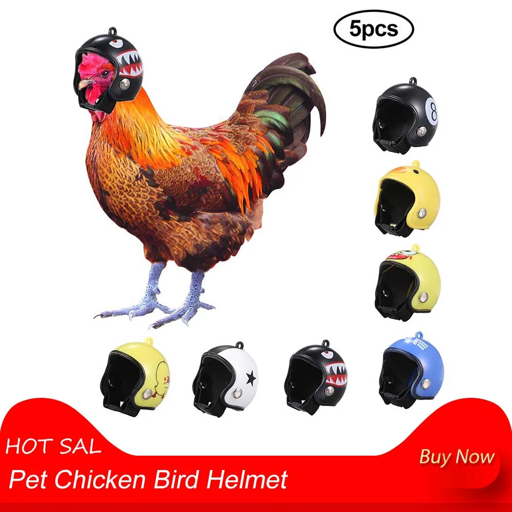 Pet Chicken Bird Helmet Small Pet Hard Hat Hat Headgear Pet Helmets Toy ...