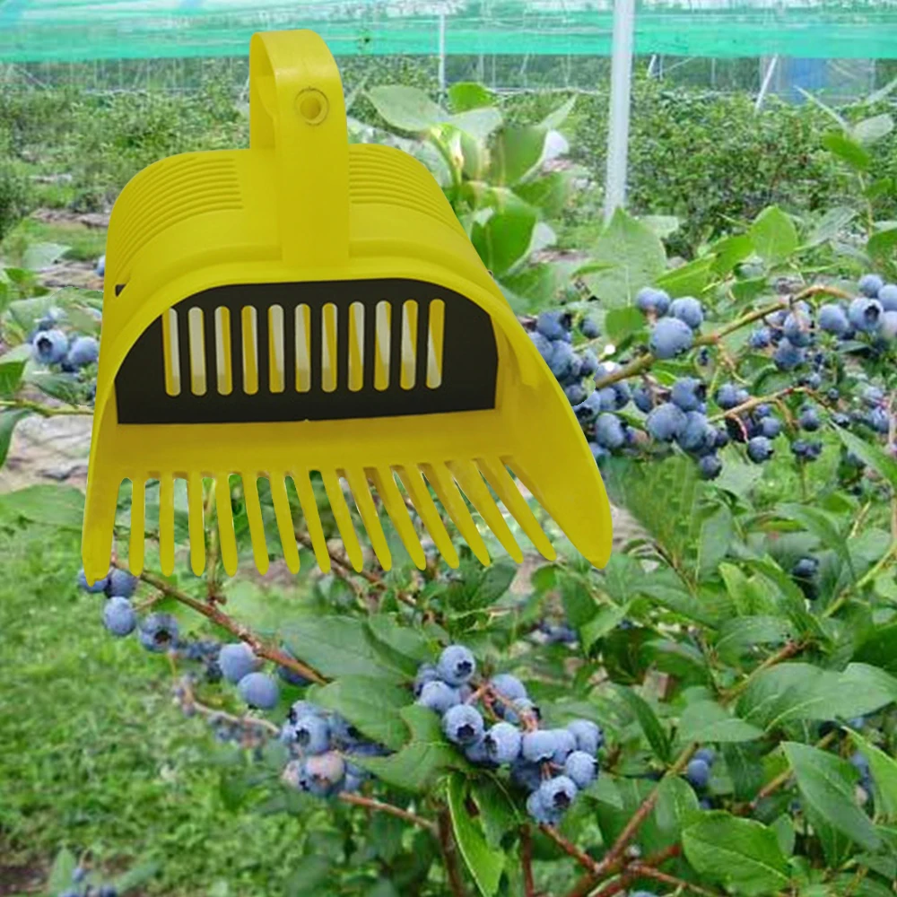 Picker Orchard Fruit Garden Tool Blueberry Picking 予約販売