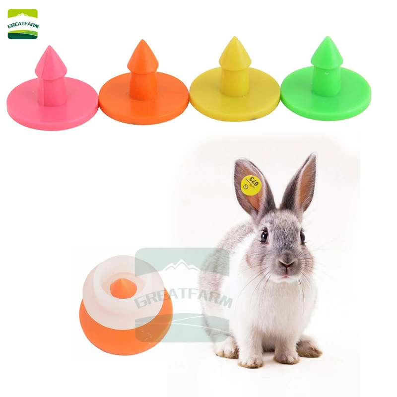 100sets Rabbit ear tag word ear tag ear tag Rabbit earrings Veterinary ...
