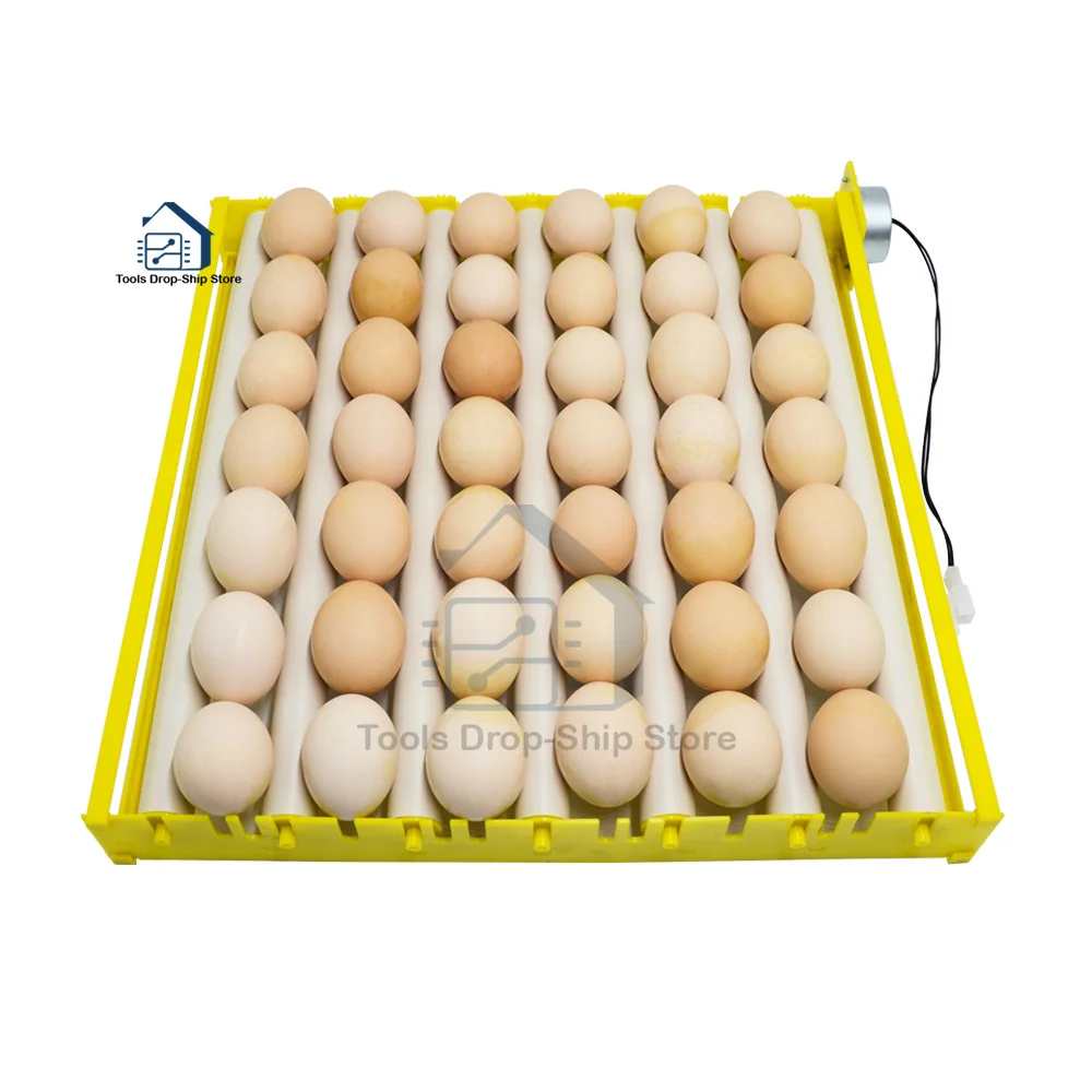 360-Automatic-Rotary-Egg-Turner-Roller-Tray-Eggs-Incubator-Accessories ...