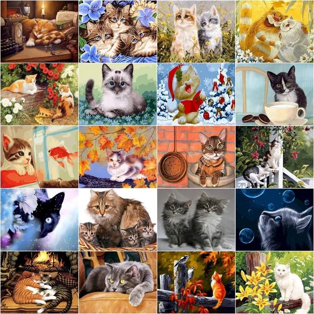Garden Shed Cats Paint By Numbers