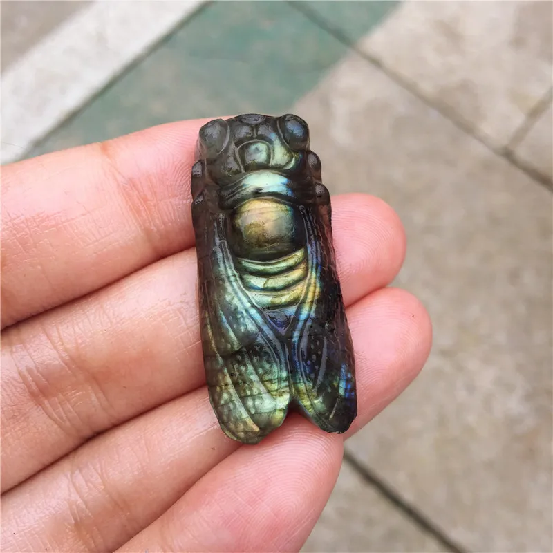 Craft Supplies & Tools 23g Labradorite Carved Cicada Necklace A9226 ...