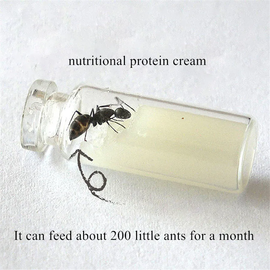3pcs-lot-Ant-Workshop-Ant-Castle-High-Nutrition-High-Protein-Ant-Food ...