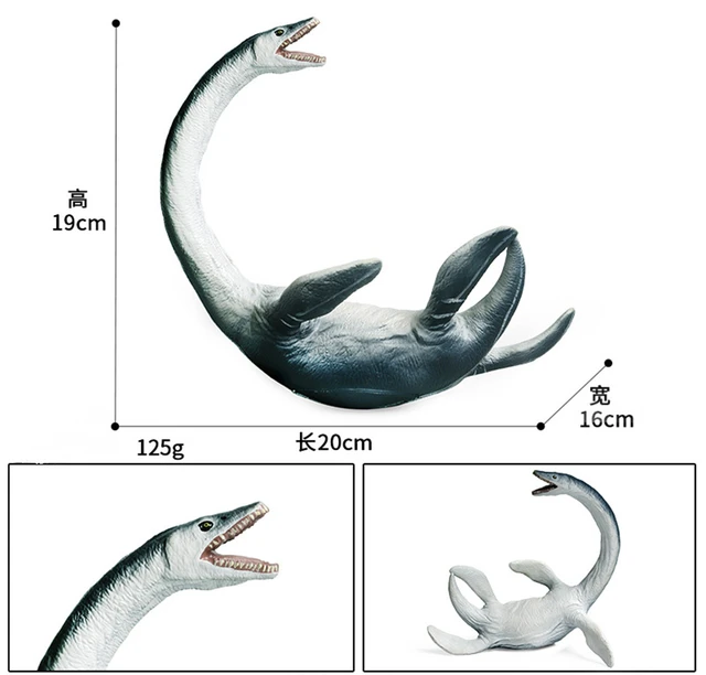 Plesiosaur Size Comparison