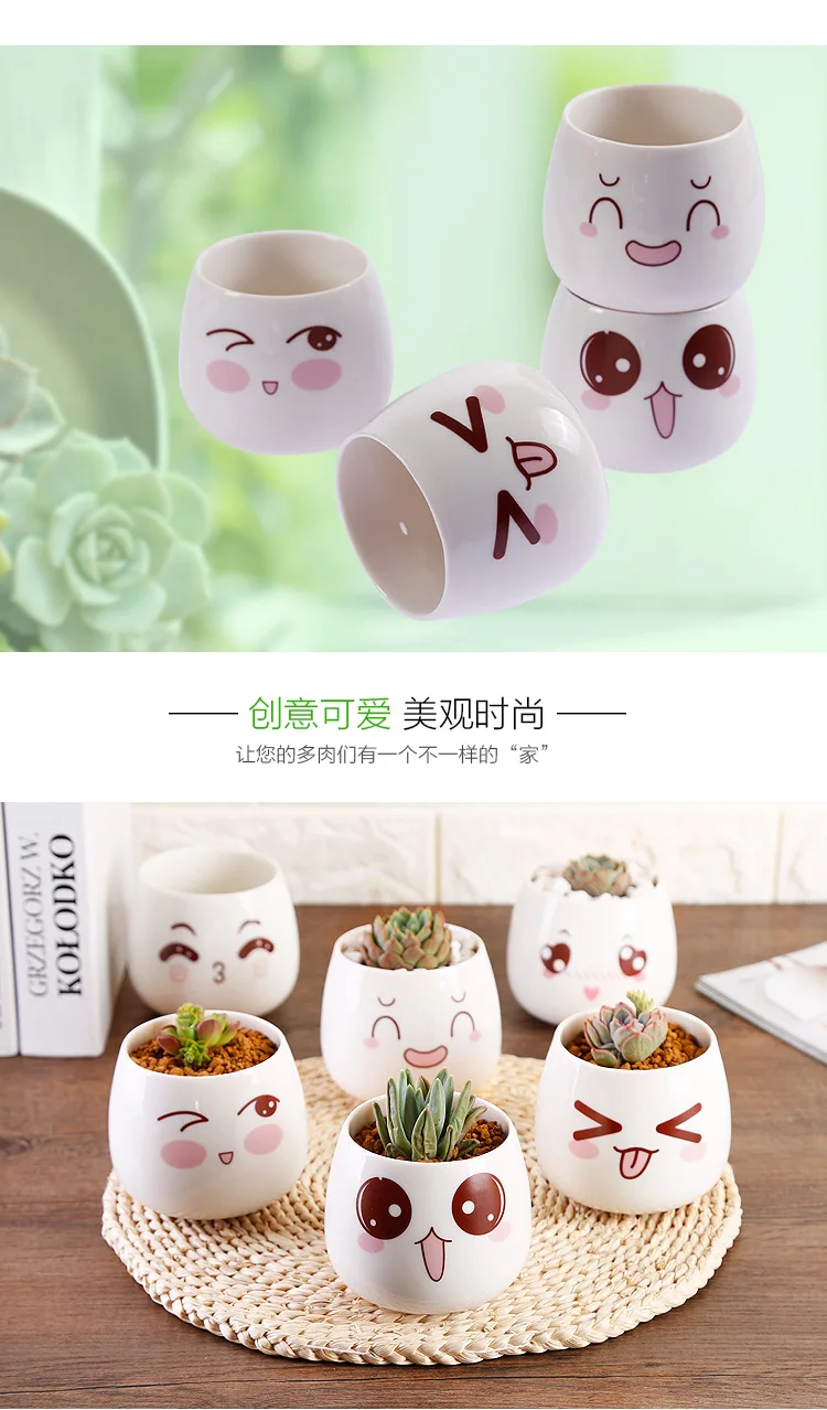 POT DE FLEUR,Disdain--Pots de plantes succulentes en céramique, style ...