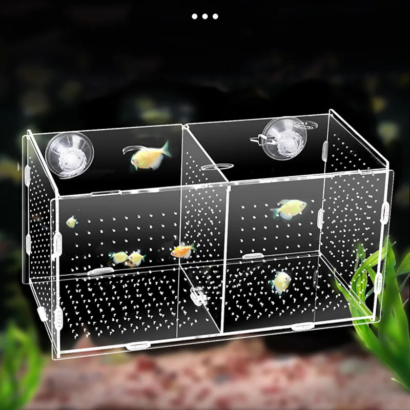 Large Size Fish Tank Isolation Box Guppy Breeding Box Small Fish Fry ...
