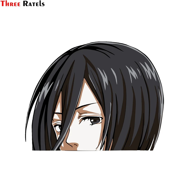 Funny Attack On Titan Mikasa