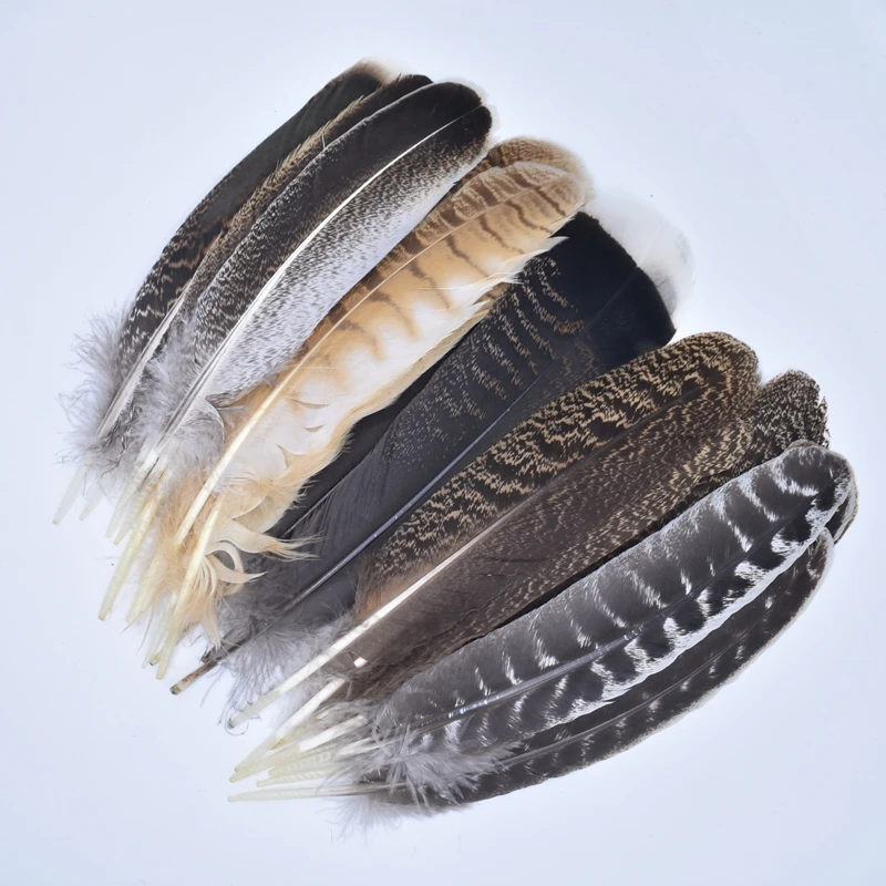 10pcs Real Natural Eagle Feathers For Decoration Turkey Pheasant Crafts ...