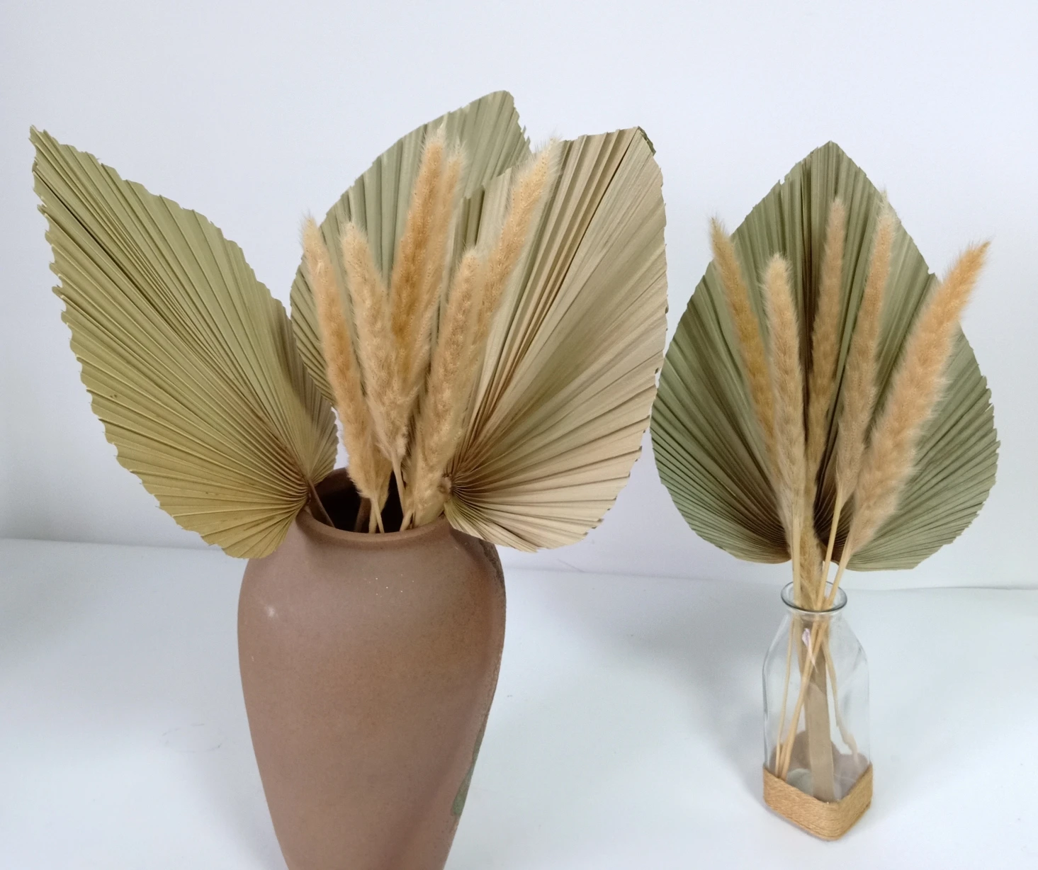 Dried Sun Palm