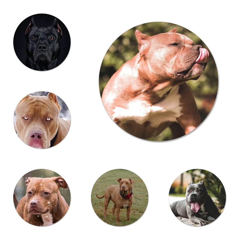 58mm Pit Bull Lovely Pet Dog Pitbull Badge Brooch Pin