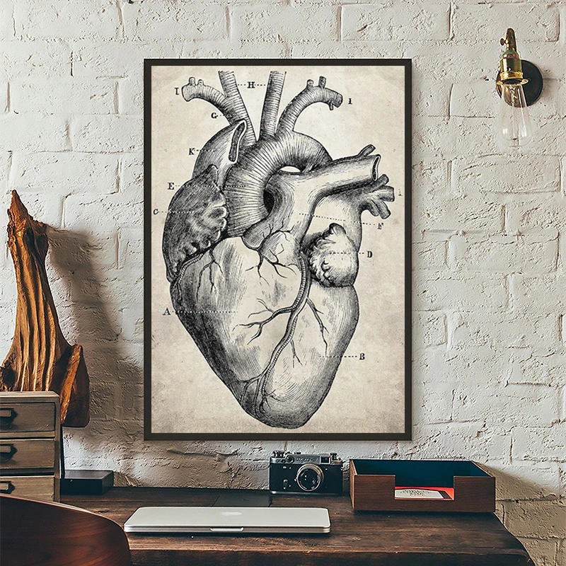 Living Human Heart