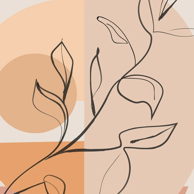 Abstract Line Drawings Color