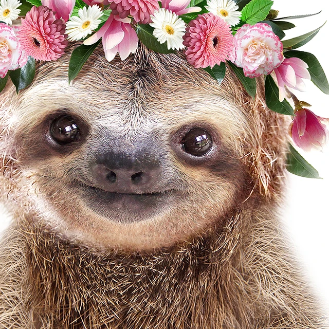 Cute Sloth Art