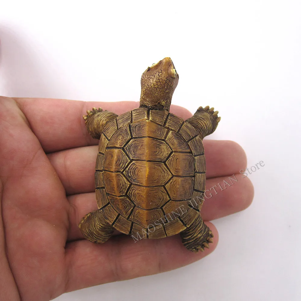 Ecuador South American Countries Fridge Magnet Souvenir Sea Turtle ...