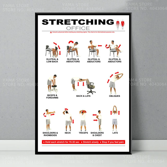 Flexibility Exercises Chart