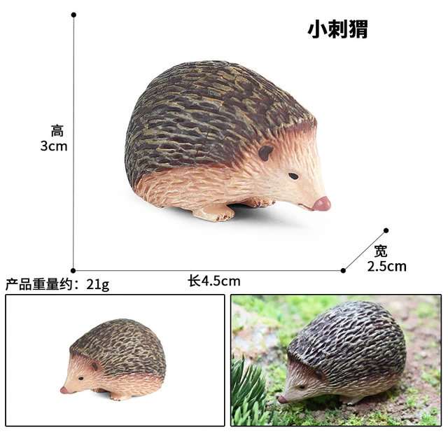 Hedgehog Toys For Hedgehogs