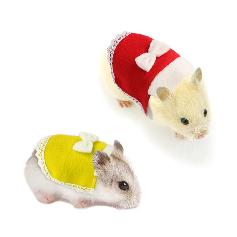 Cute Hamsters In Clothes