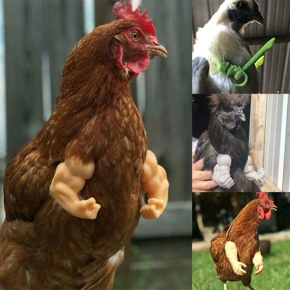 Muscle Chicken Black Chicken Arms Funny Decoration Suitable For Chicken ...