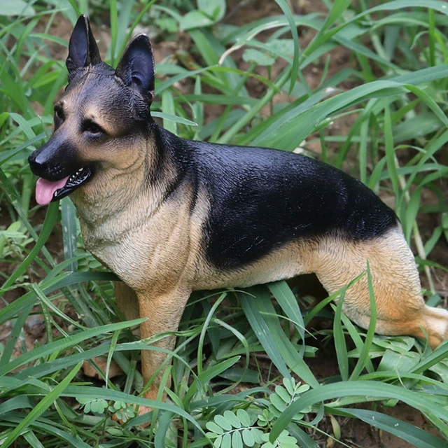 How Much Are Miniature German Shepherds