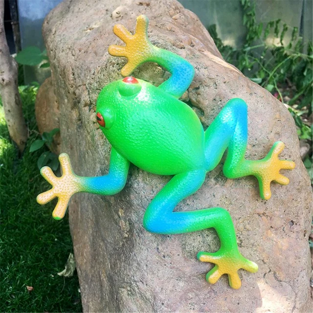 Funny Real Frog Pictures