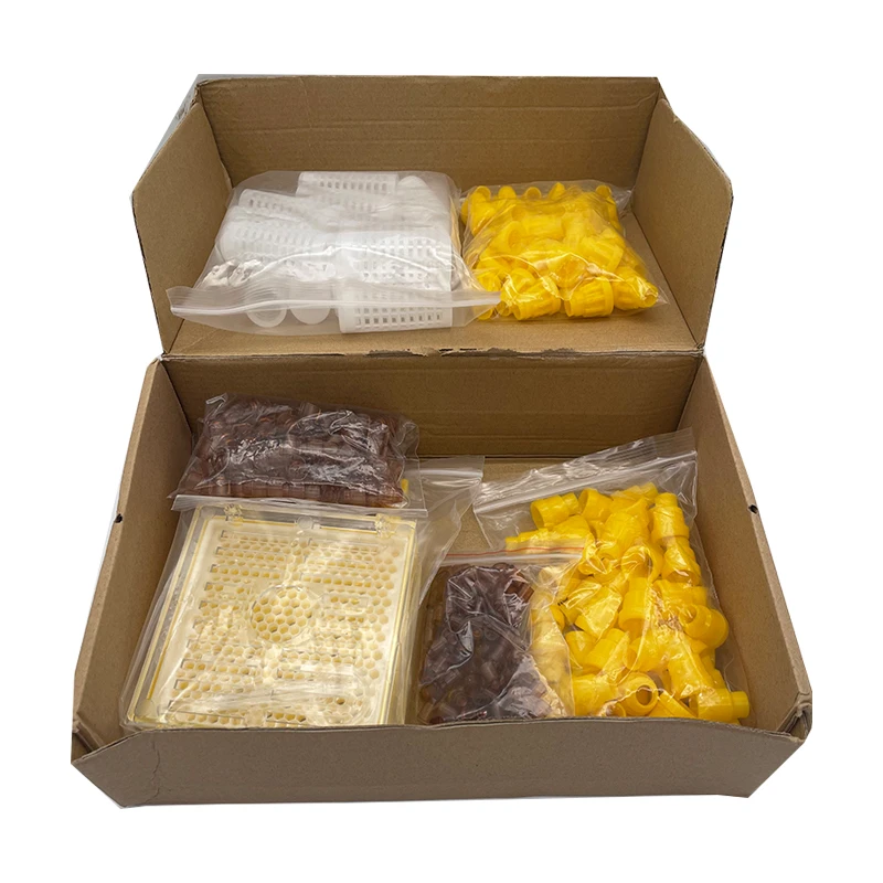 Germany Jenter Queen Rearing Kit Nicot Bee Queens Rearing System Queen ...