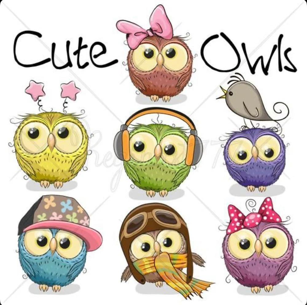 Animal Owl Chicken Transparent Silicone Rubber Stamp And Metal Die ...