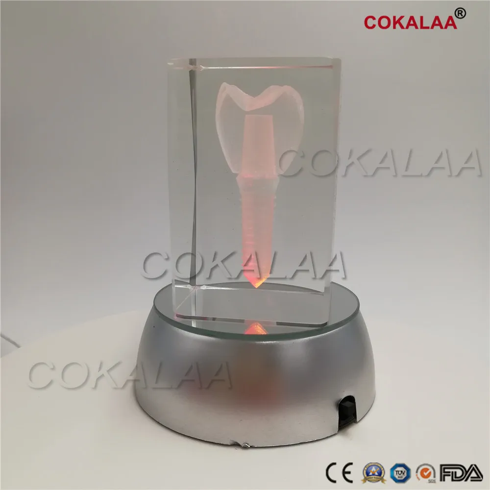3D-Tooth-Model-Clear-Crystal-Stand-With-LED-Lamp-dental-Oral-Souvenir ...