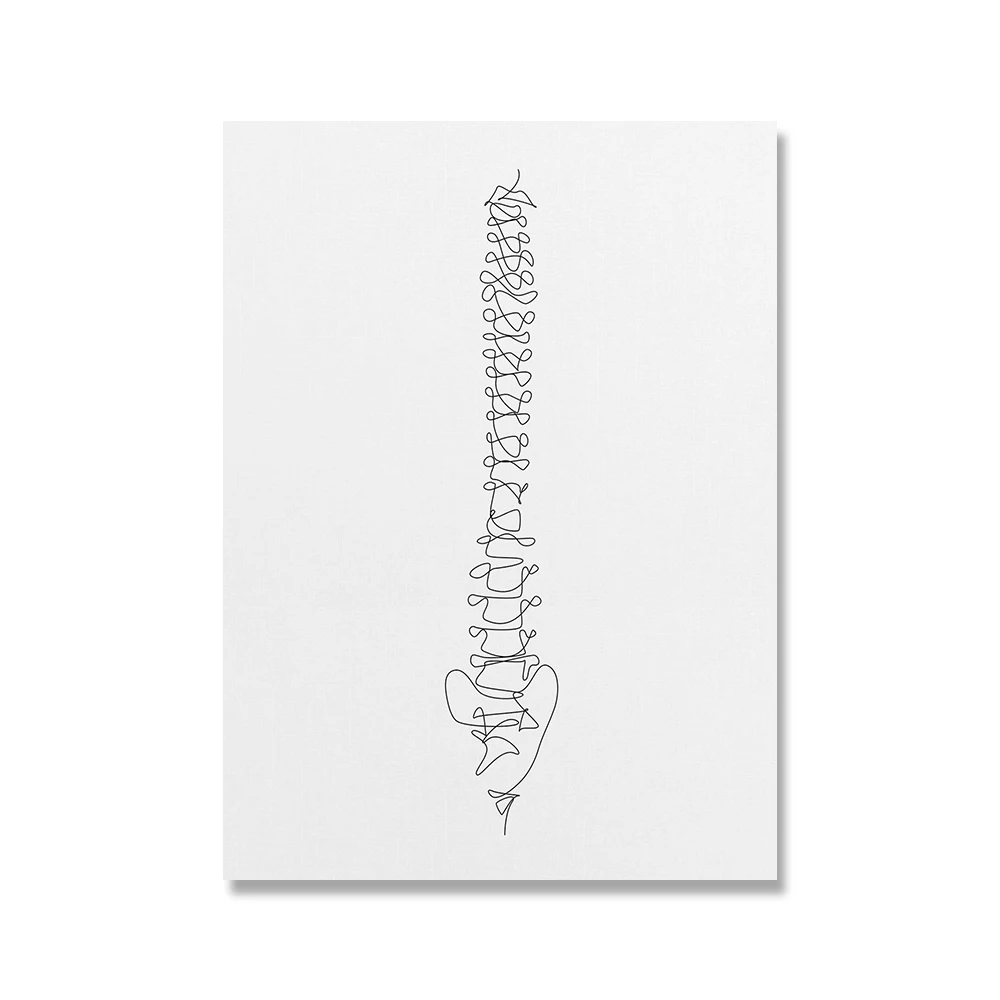 Chiropractic Spine Art