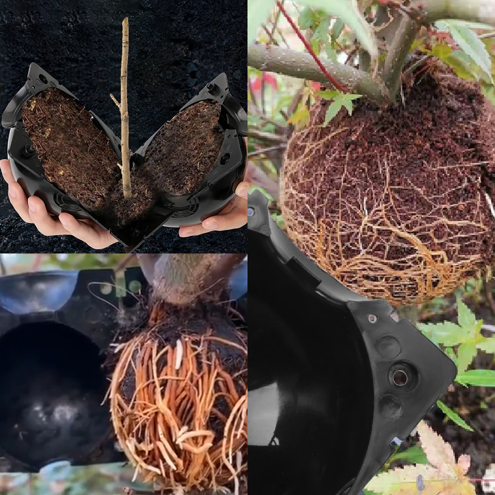 Jardinière,Reproduction Box de Culture Cas Plante Racine Box de Culture ...