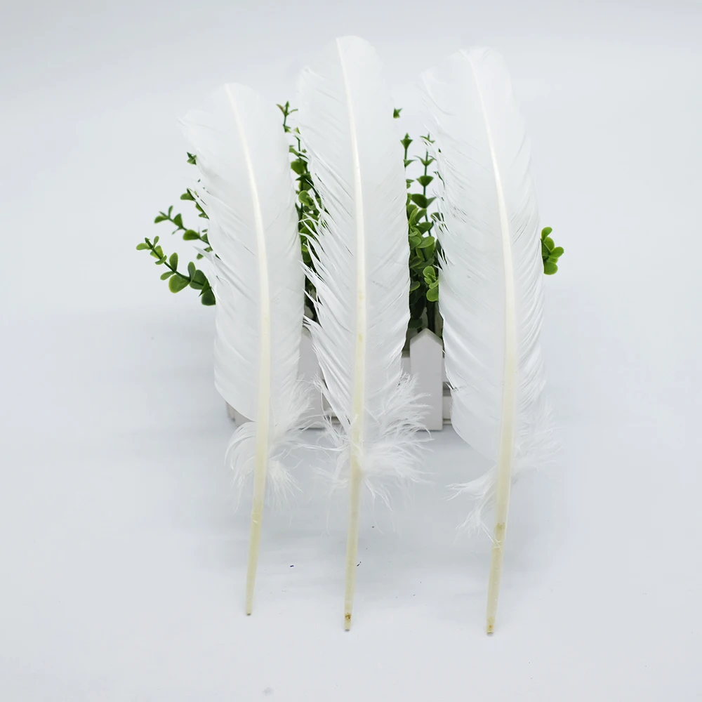 Wholesale Natural White Turkey feathers 50pcs 25 30cm Goose Feathers ...