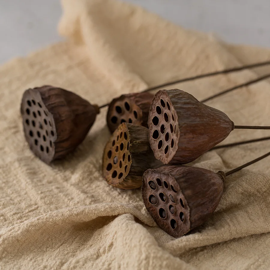 Dried Lotus Seed Pods