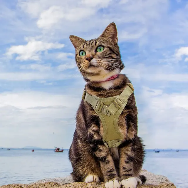 Tactical Cat Harness for Walking Escape Proof Adjustable Pet Vest ...