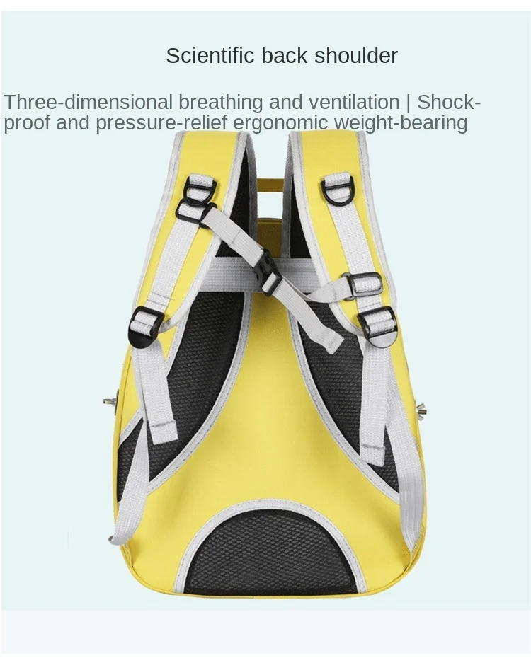 Pet Parrots Outing Backpack Transparent Bird Cage Large Portable Cabin ...