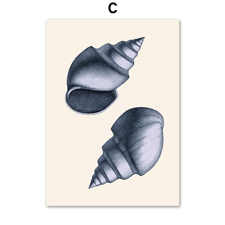 Conch Simple Drawing