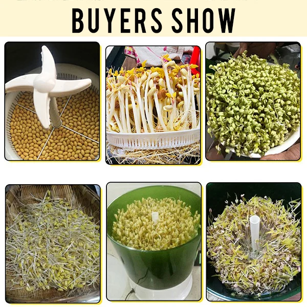 Automatic Sprouter Machine Bean Sprouts Growing Machine Large-capacity ...