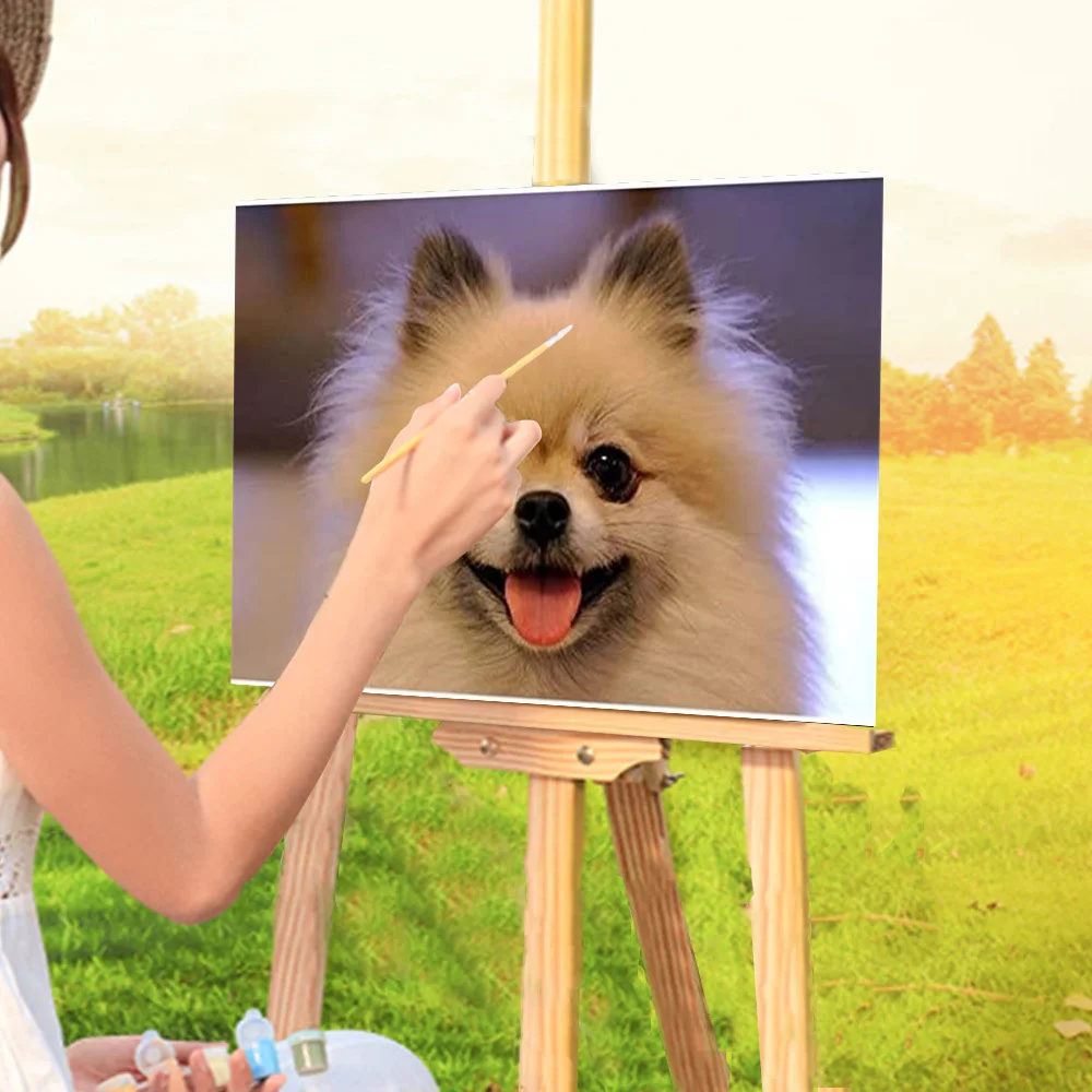 Animal Dog Pomeranian Diy Paint By Numbers Set Acrylic Paints 50*70 ...
