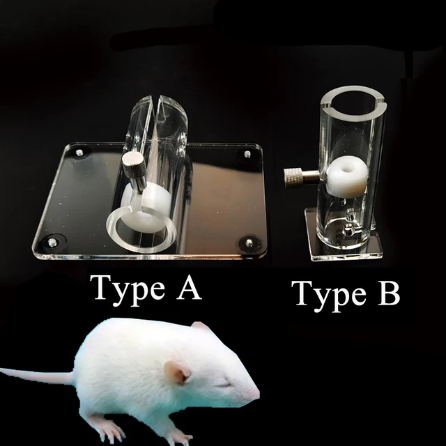 Transparent Lab Mouse