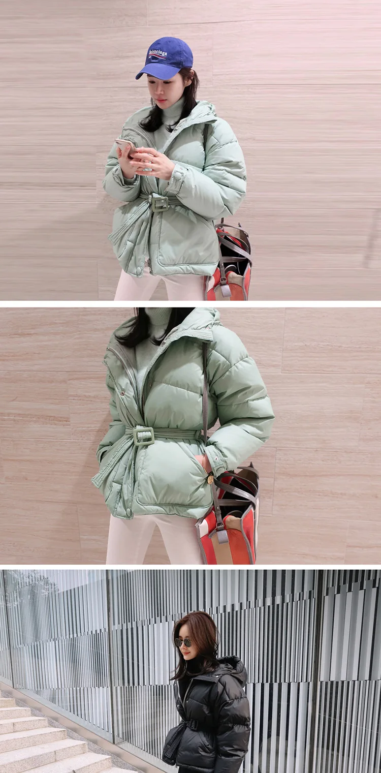 Winter New Style South Korea INS WOMEN'S Dress down Feather Coat Korean ...